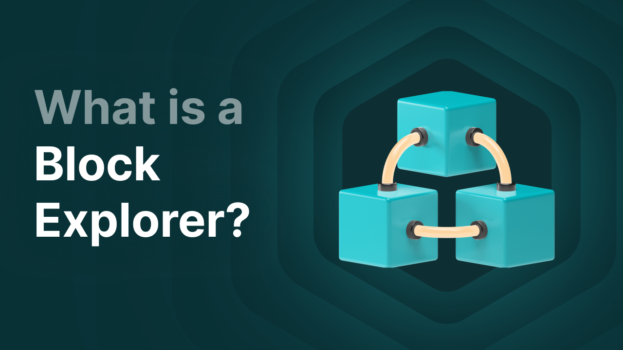 What is a block explorer and why do you need one? | Crypto Academy
